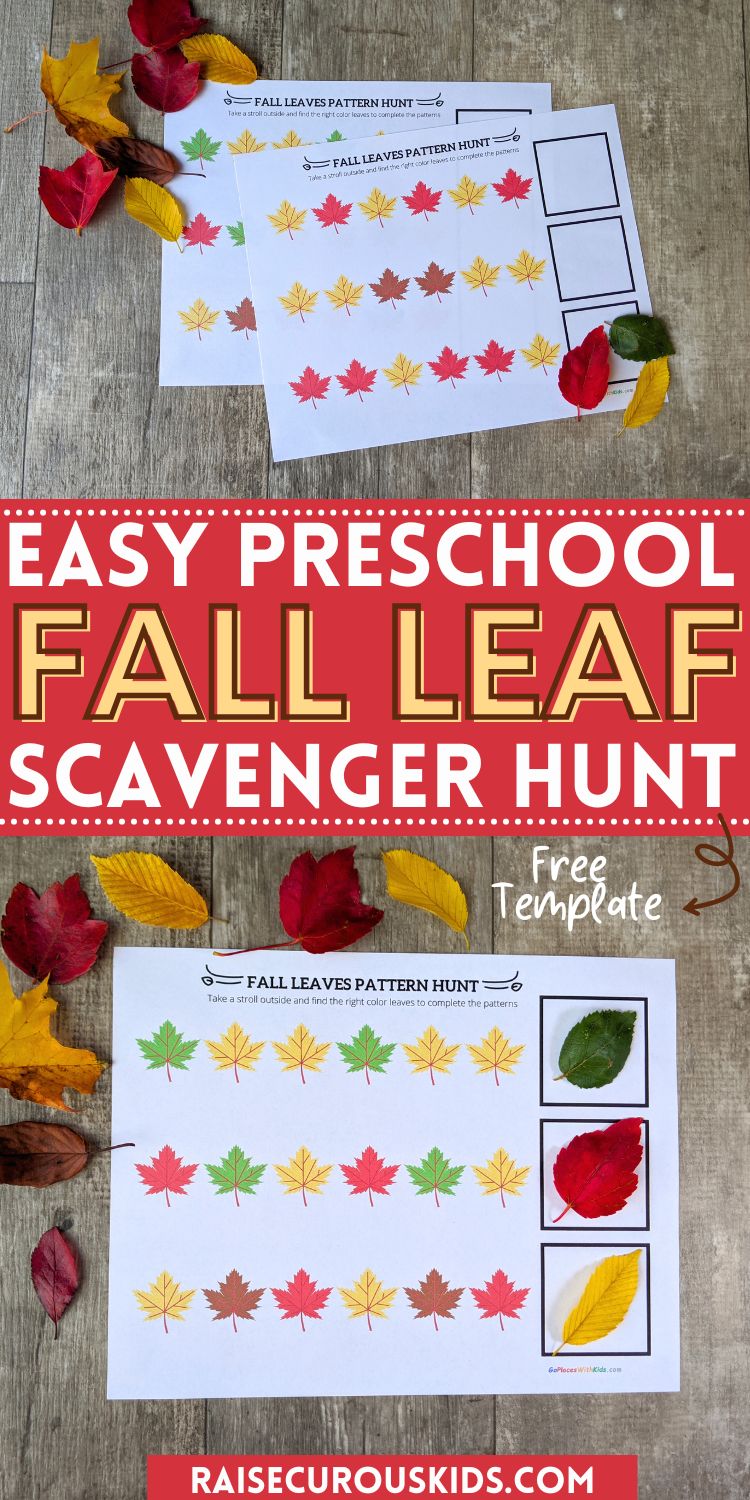 Fall Leaf Preschool Pattern Activity- with Printable - Raise Curious Kids