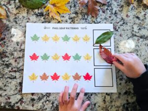 Fall Leaf Preschool Pattern Activity- with Printable - Raise Curious Kids