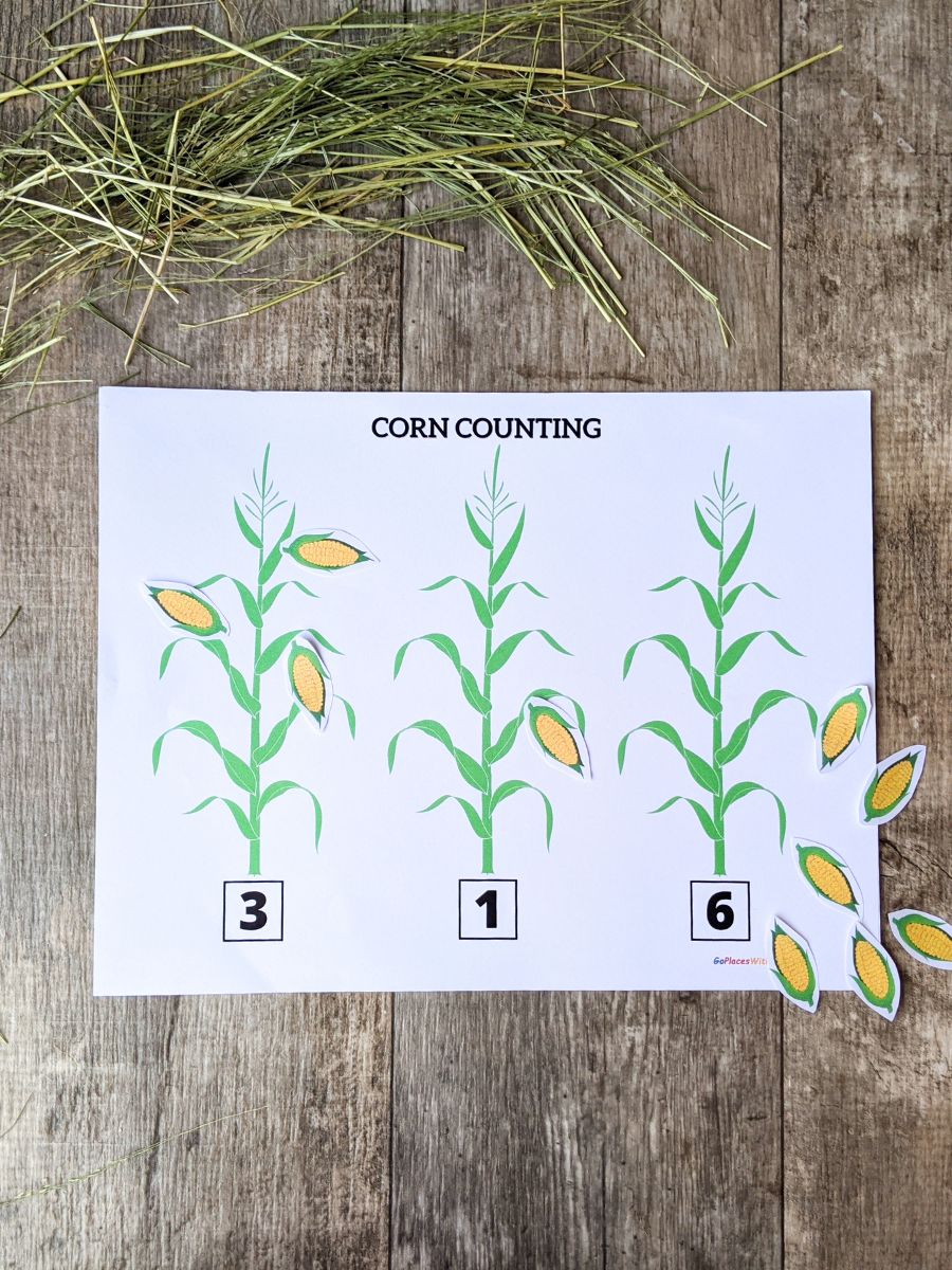 Corn Counting Preschool Activity- with printable - Raise Curious Kids