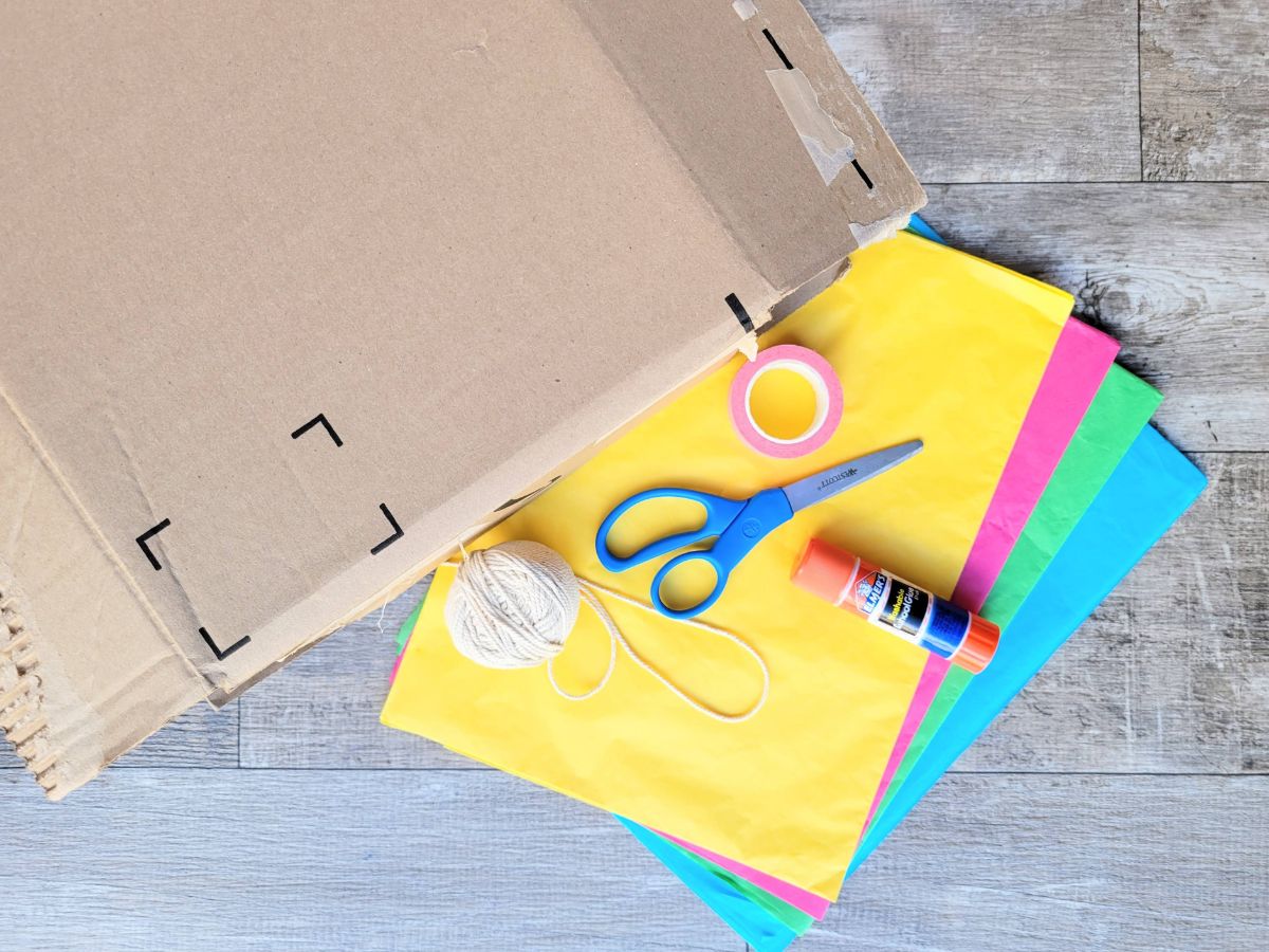 Fast and Easy Homemade Piñata (A Perfect Craft for Kids!) - Raise ...