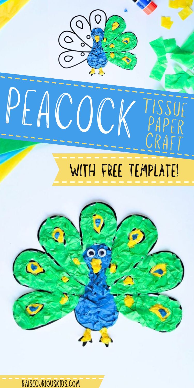 Peacock Tissue Paper Craft - Raise Curious Kids