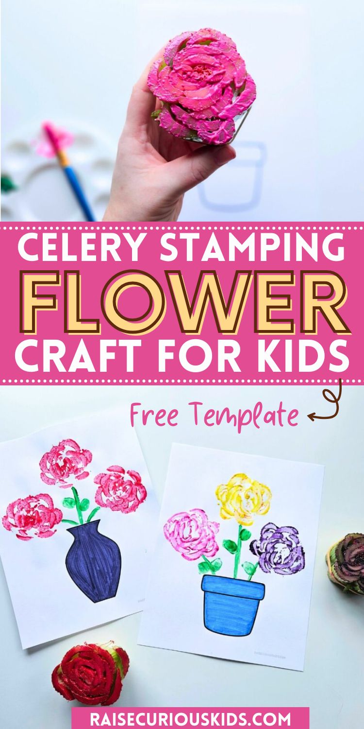 How to Make Celery Stamp Flowers (Free template) - Raise Curious Kids