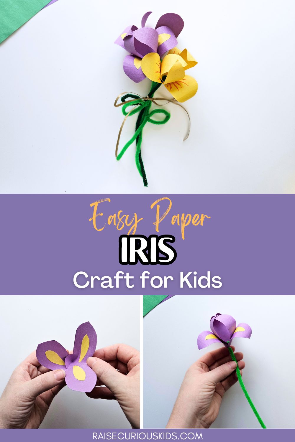Cute and Easy Iris Flower Craft for Kids - Raise Curious Kids