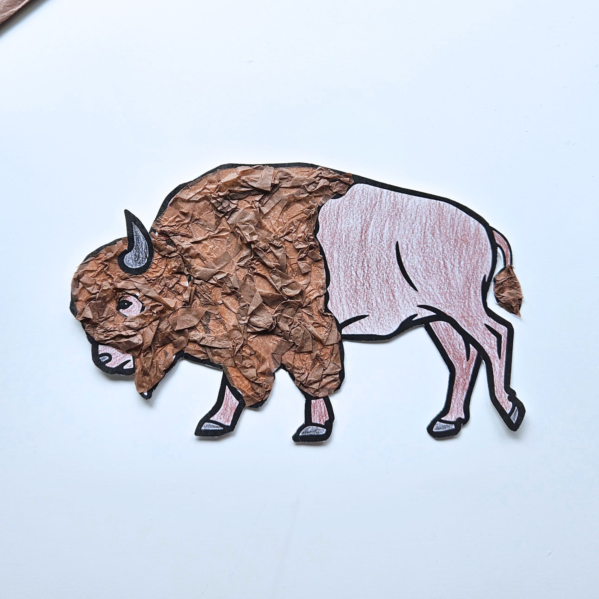 American Bison Tissue Paper Craft for Kids - Raise Curious Kids