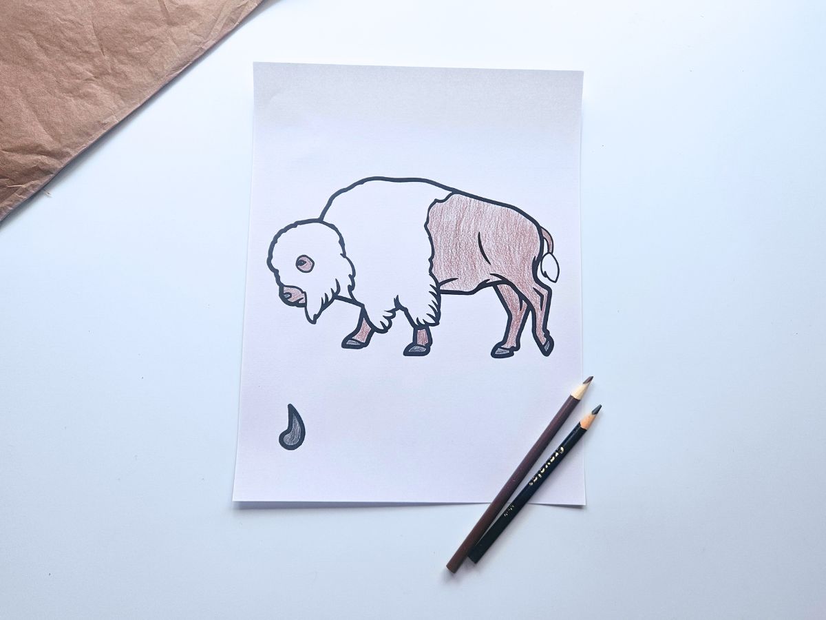 American Bison Tissue Paper Craft for Kids - Raise Curious Kids