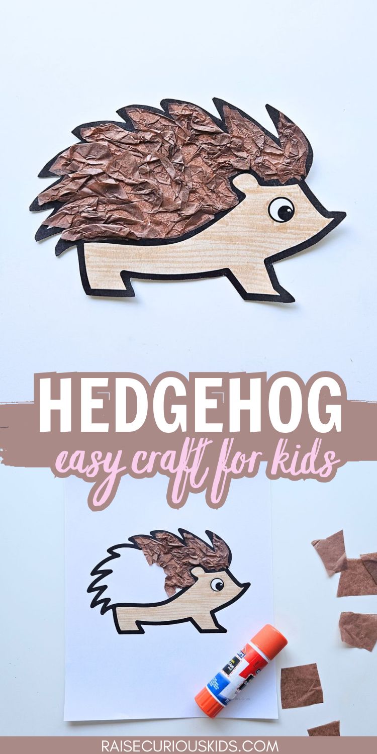 Adorable Hedgehog Tissue Paper Craft - Raise Curious Kids