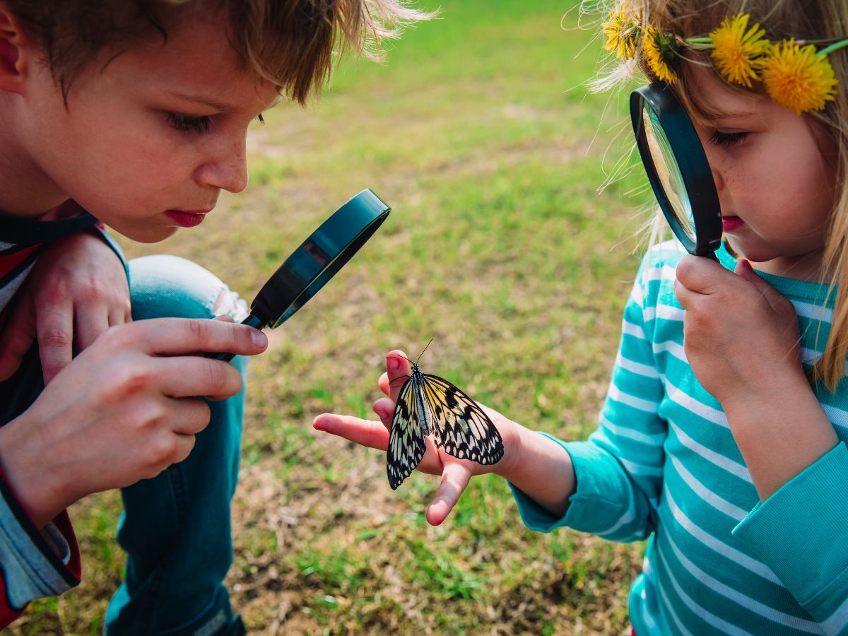 21 Fun Outdoor Activities for Kids to Enjoy Independently This Summer ...