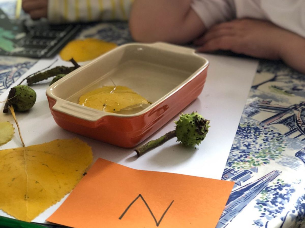 21 Easy Science Experiments for Kids to Do at Home - Raise Curious Kids