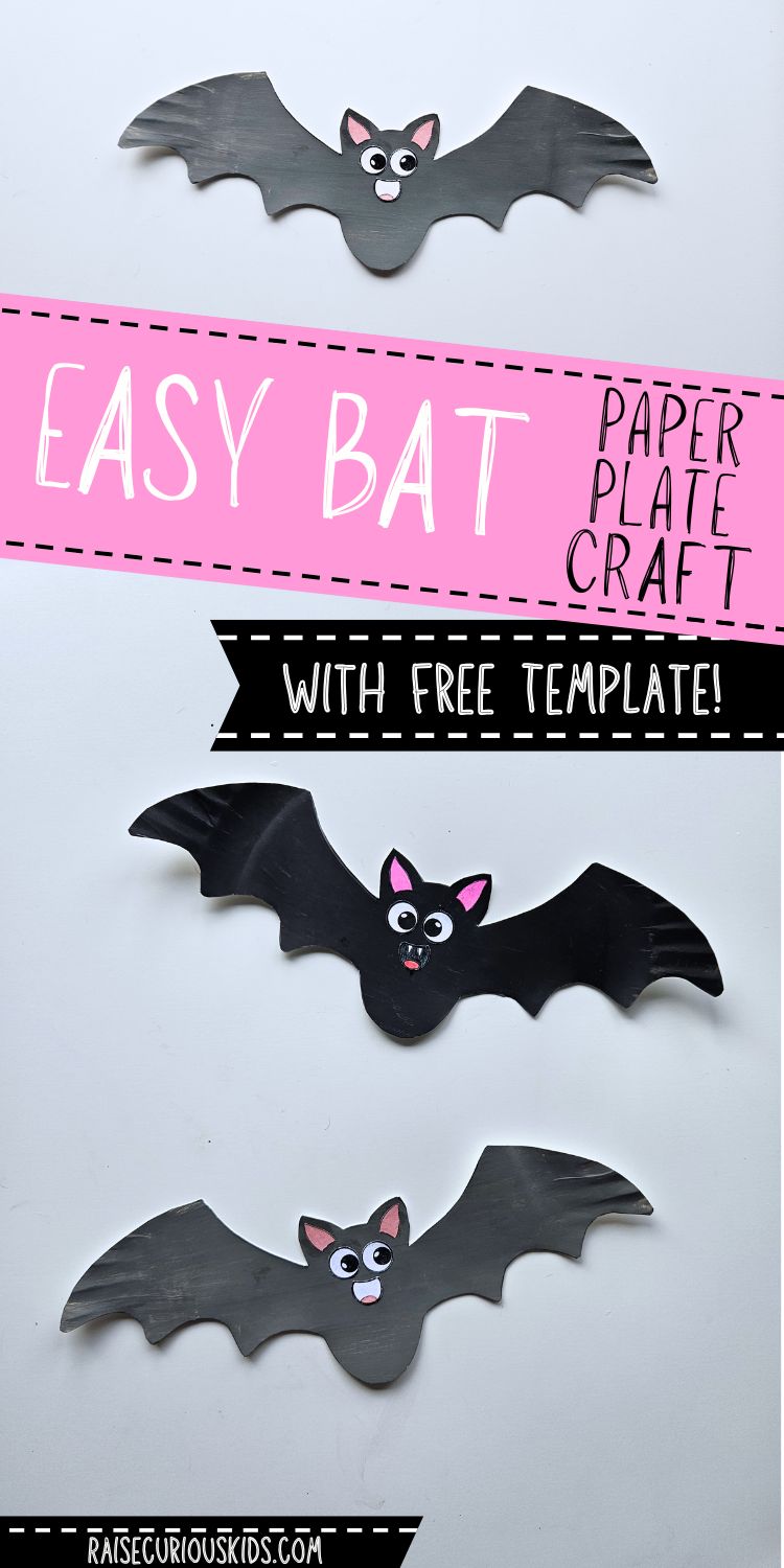 Bat Paper Plate Craft for Kids - Raise Curious Kids