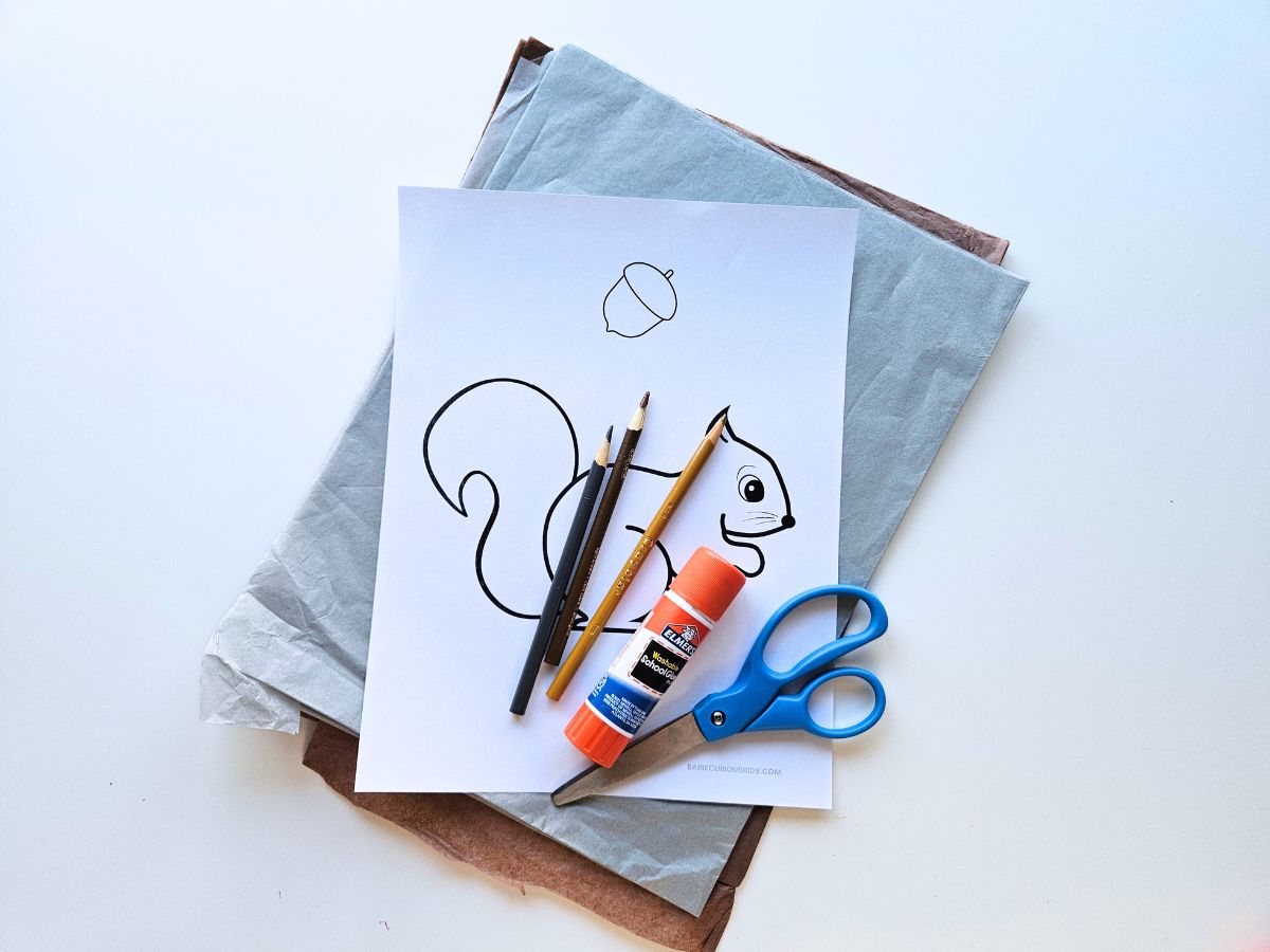 Squirrel Tissue Paper Craft for Kids - Raise Curious Kids