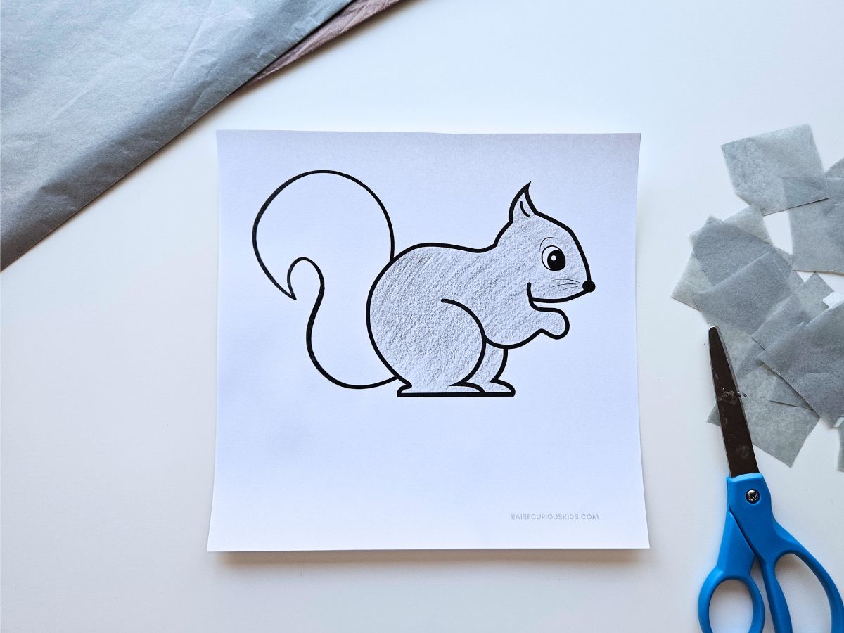 Squirrel Tissue Paper Craft for Kids - Raise Curious Kids