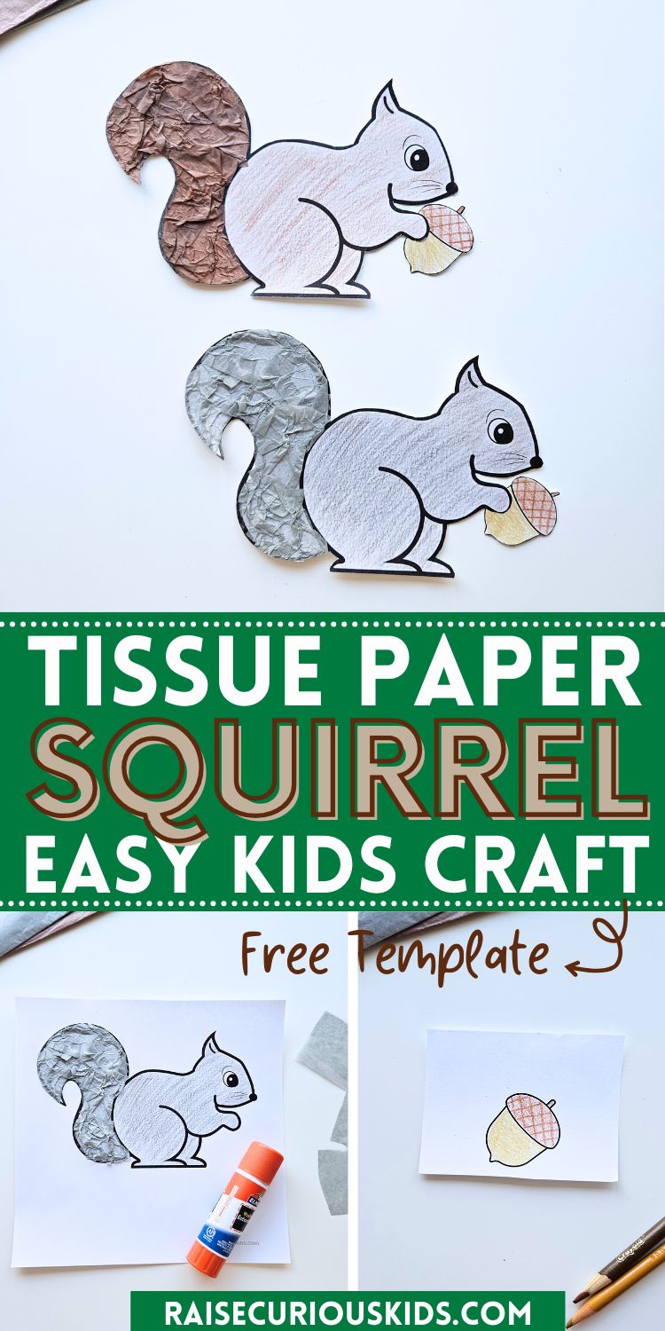 Squirrel Tissue Paper Craft for Kids - Raise Curious Kids