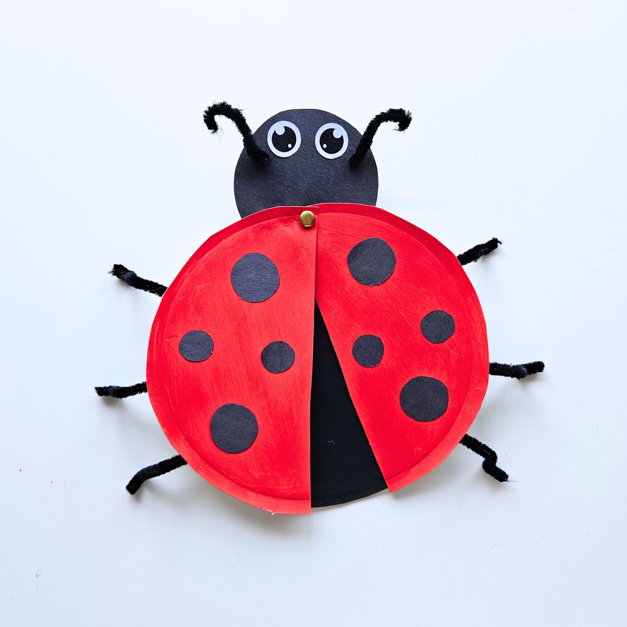 Ladybug Paper Plate Craft for Kids - Raise Curious Kids