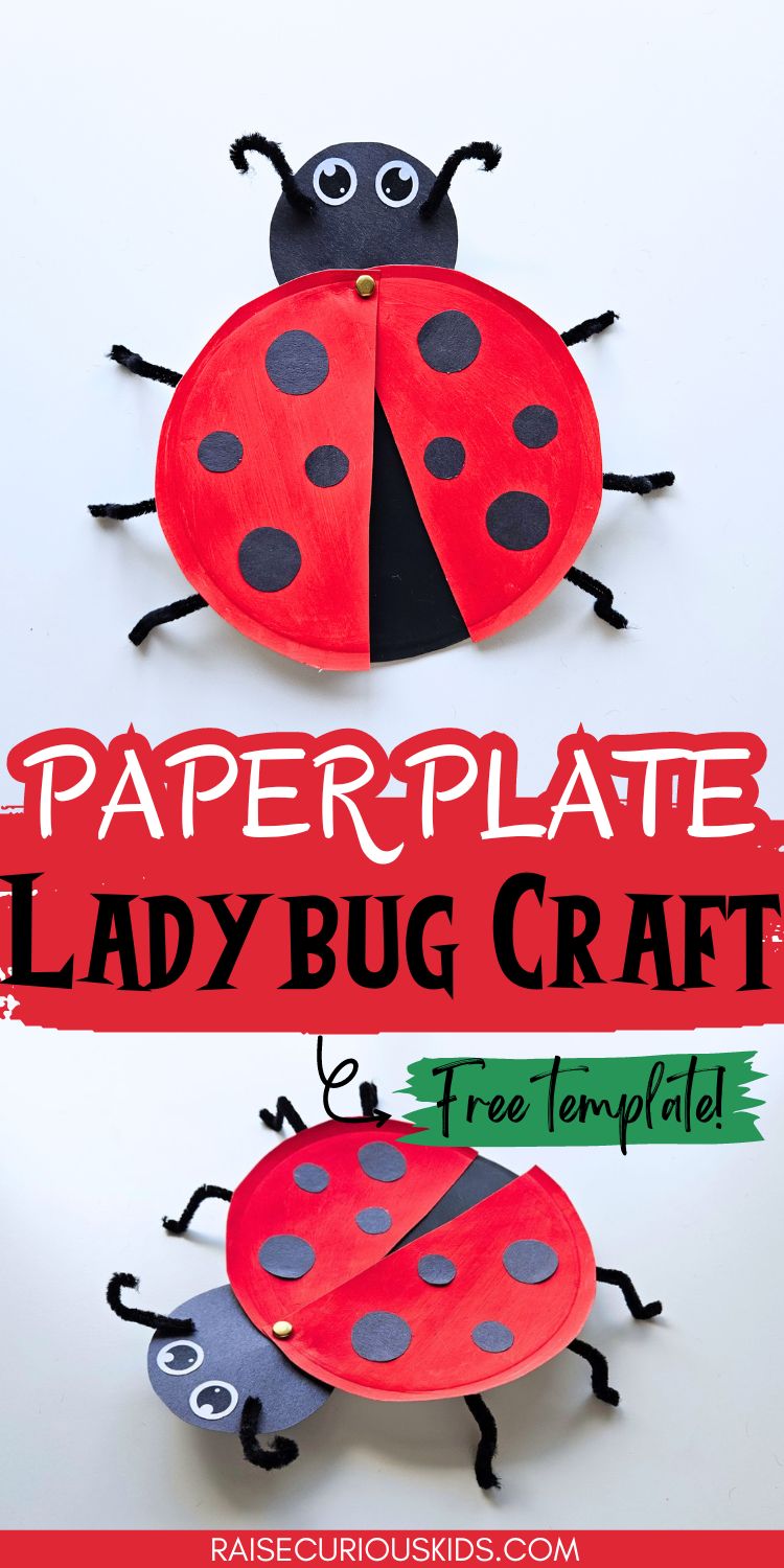 Ladybug Paper Plate Craft for Kids - Raise Curious Kids