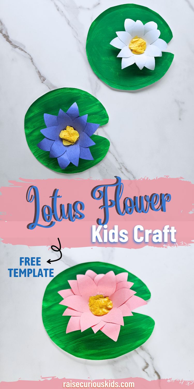 Easy Lotus Flower (or Water Lily) Craft for Kids - Raise Curious Kids
