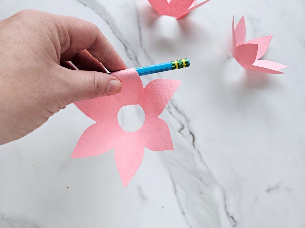 Easy Lotus Flower (or Water Lily) Craft for Kids - Raise Curious Kids