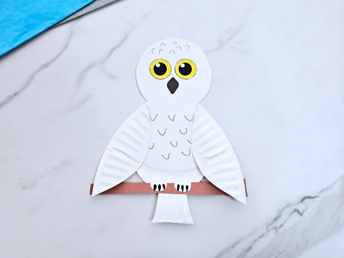 Snowy Owl Paper Plate Craft for Kids - Raise Curious Kids