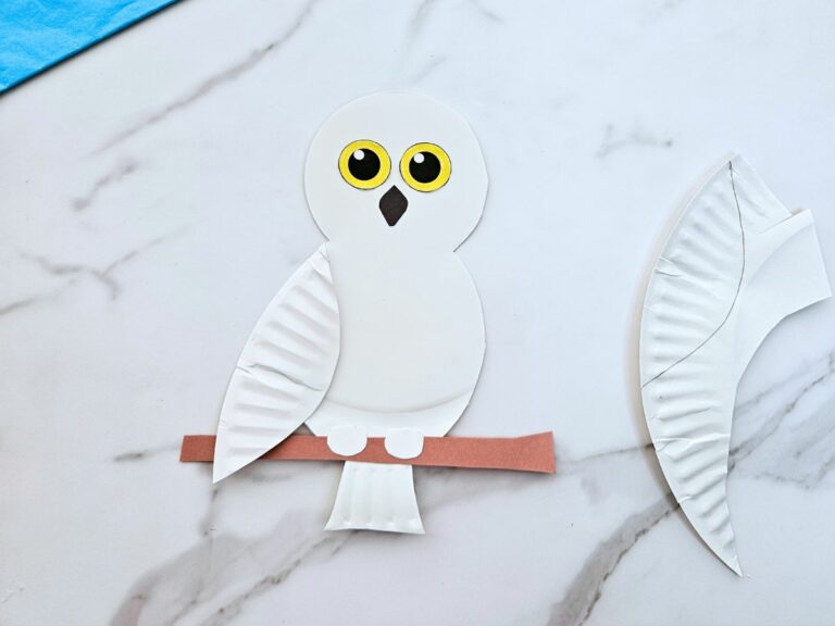 Snowy Owl Paper Plate Craft for Kids - Raise Curious Kids