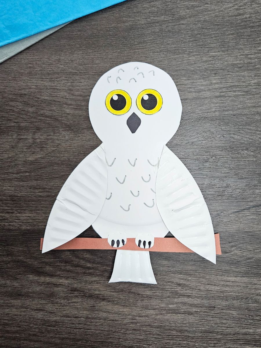 Snowy Owl Paper Plate Craft for Kids - Raise Curious Kids