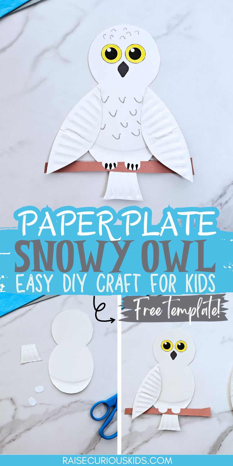 Snowy Owl Paper Plate Craft for Kids - Raise Curious Kids