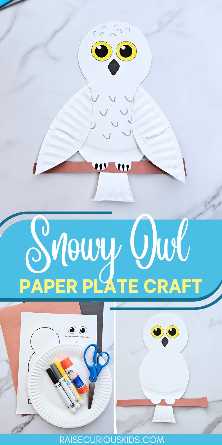 Snowy Owl Paper Plate Craft for Kids - Raise Curious Kids