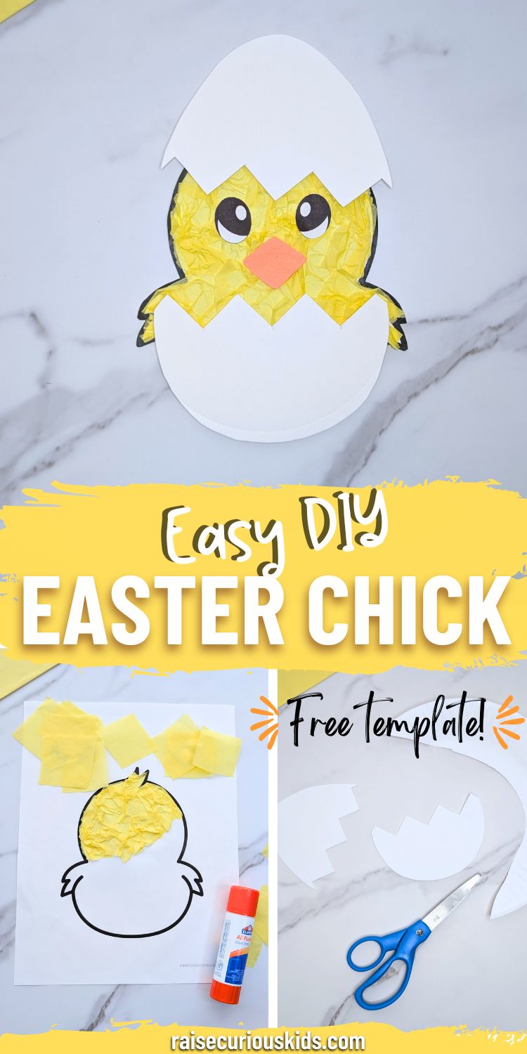 Easy Hatching Chick Craft - Raise Curious Kids