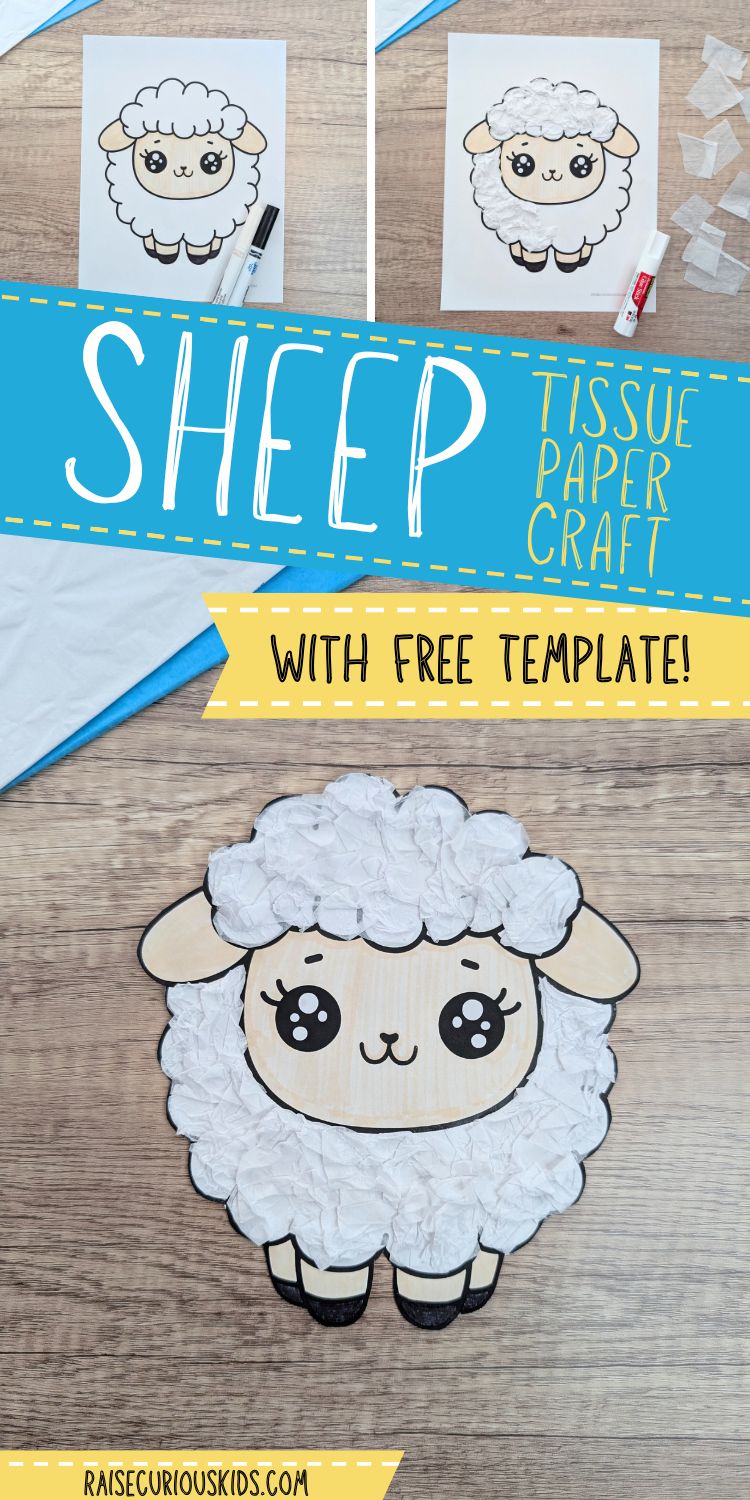 Easy Sheep Tissue Paper Craft for Kids - Raise Curious Kids