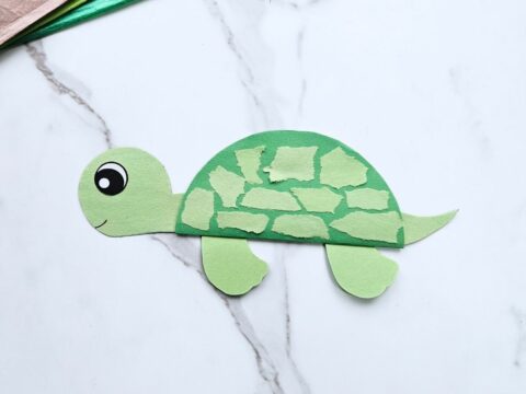 "You're Turtley Awesome!" Turtle Card Craft - Raise Curious Kids